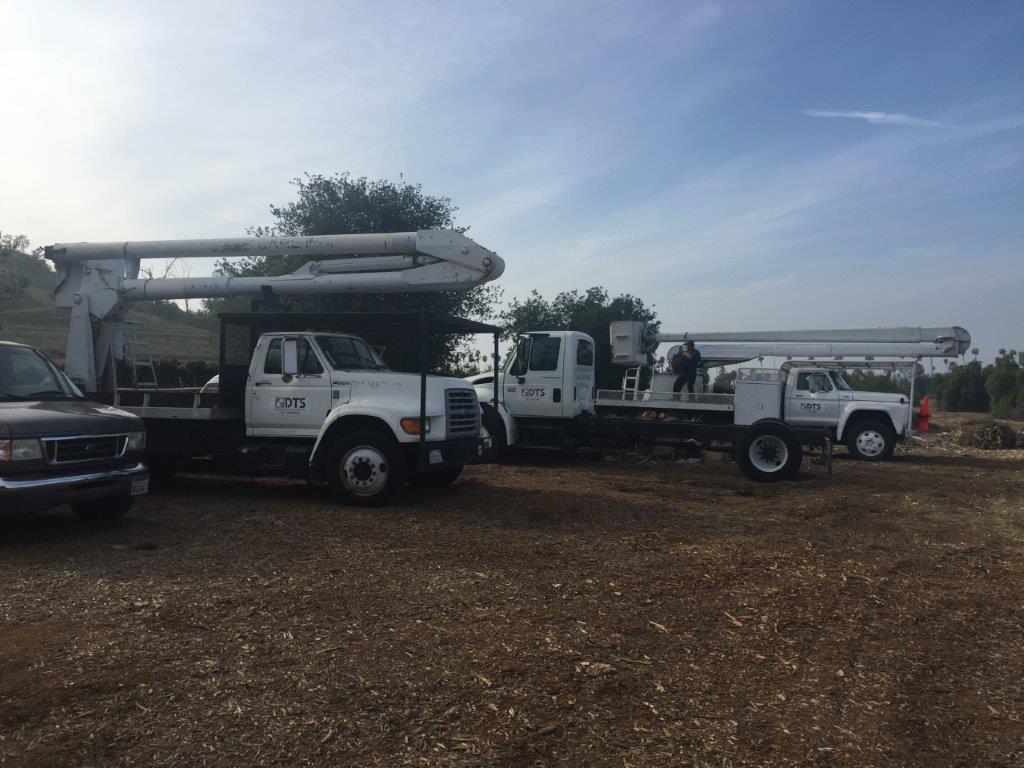 Home - Discount Tree Service